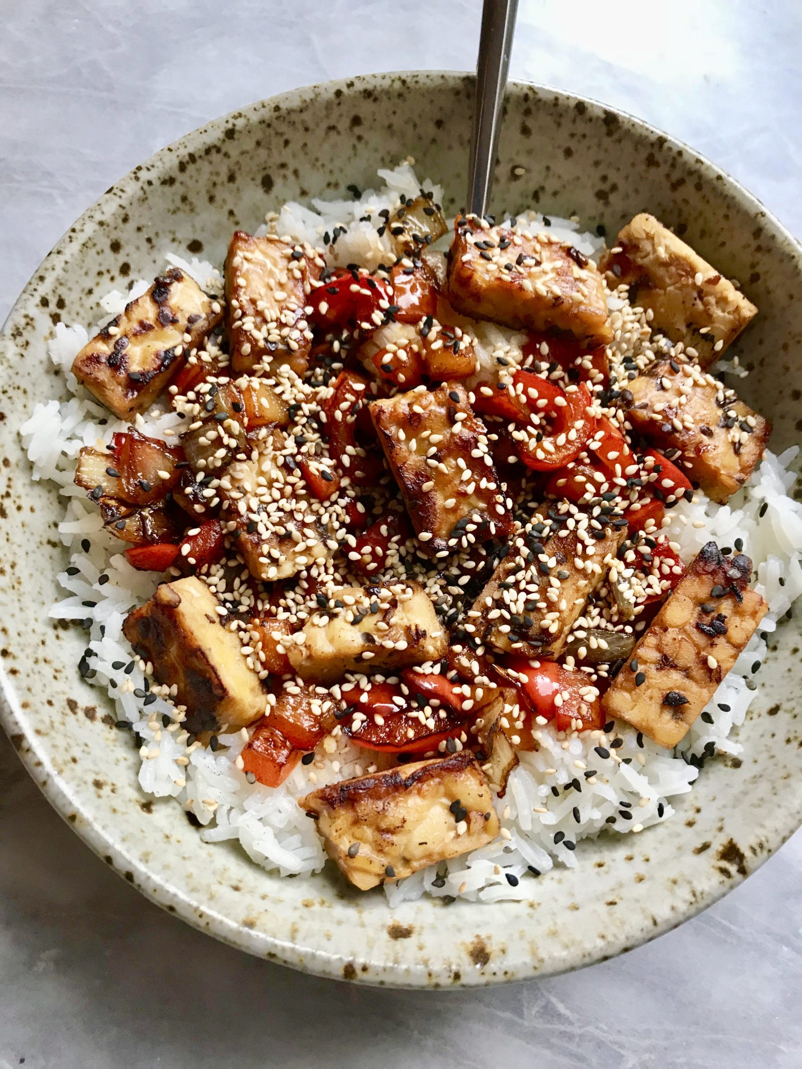 Sesame Soy Tempeh – Plant Based Jane